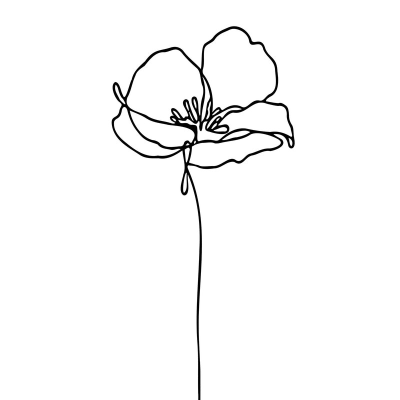 Poppy Line Art - Etsy