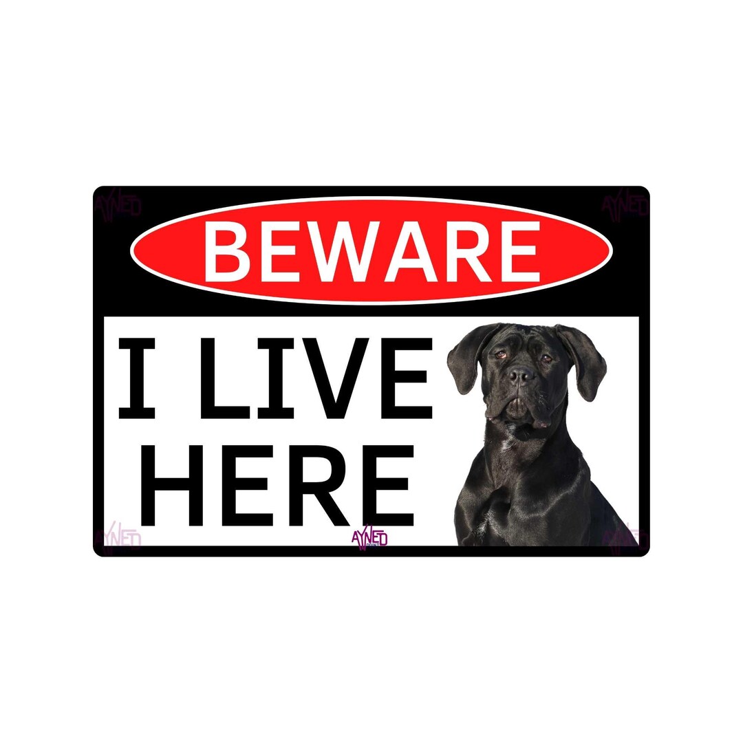 Beware I Live Here Cane Corso Sign – Aluminum Yard/fence - Etsy