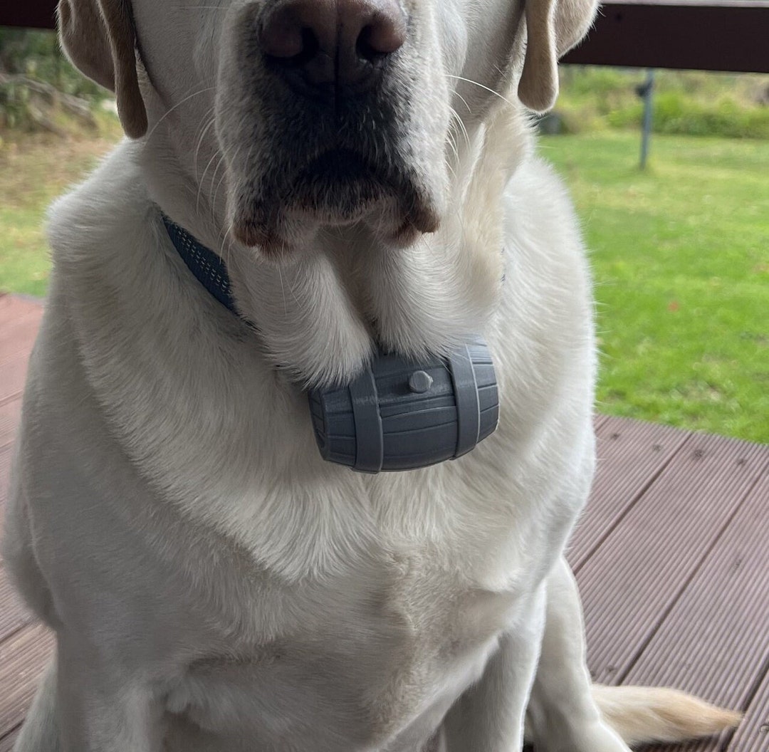 Barrel Dog Poop Bag Container – Dog Poop Bag Carrier, Dog Waste Bag ...