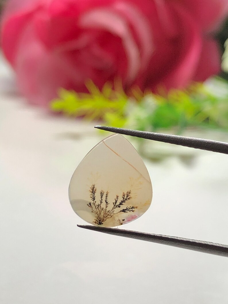 Scenic Agate Huge Size Tree Agate Dendritic Quartz Dendritic Agate ...