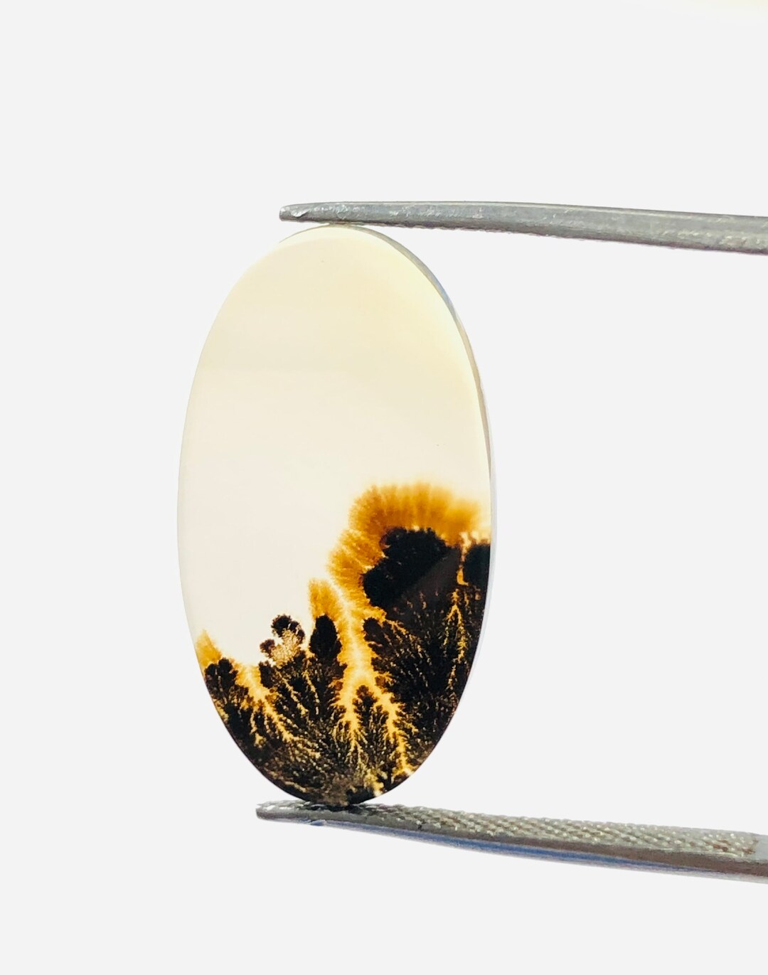 Scenic Agate Huge Size Tree Agate Dendritic Quartz - Etsy