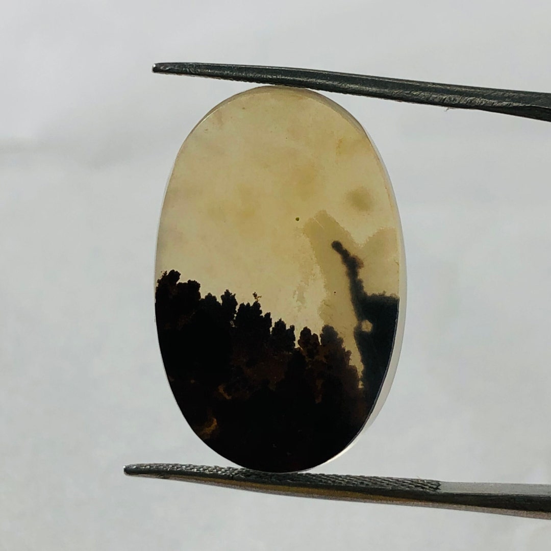 Scenic Agate Huge Size Tree Agate Dendritic Quartz Dendritic - Etsy