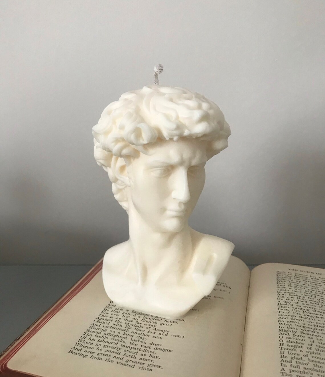 Large and Small David Head Bust Michelangelo Sculpture - Etsy