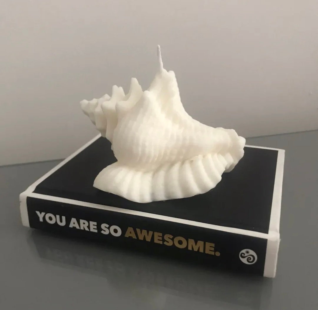 Conch Shell Unique Handmade Home Decor Shell Large Unusual Soy Wax ...