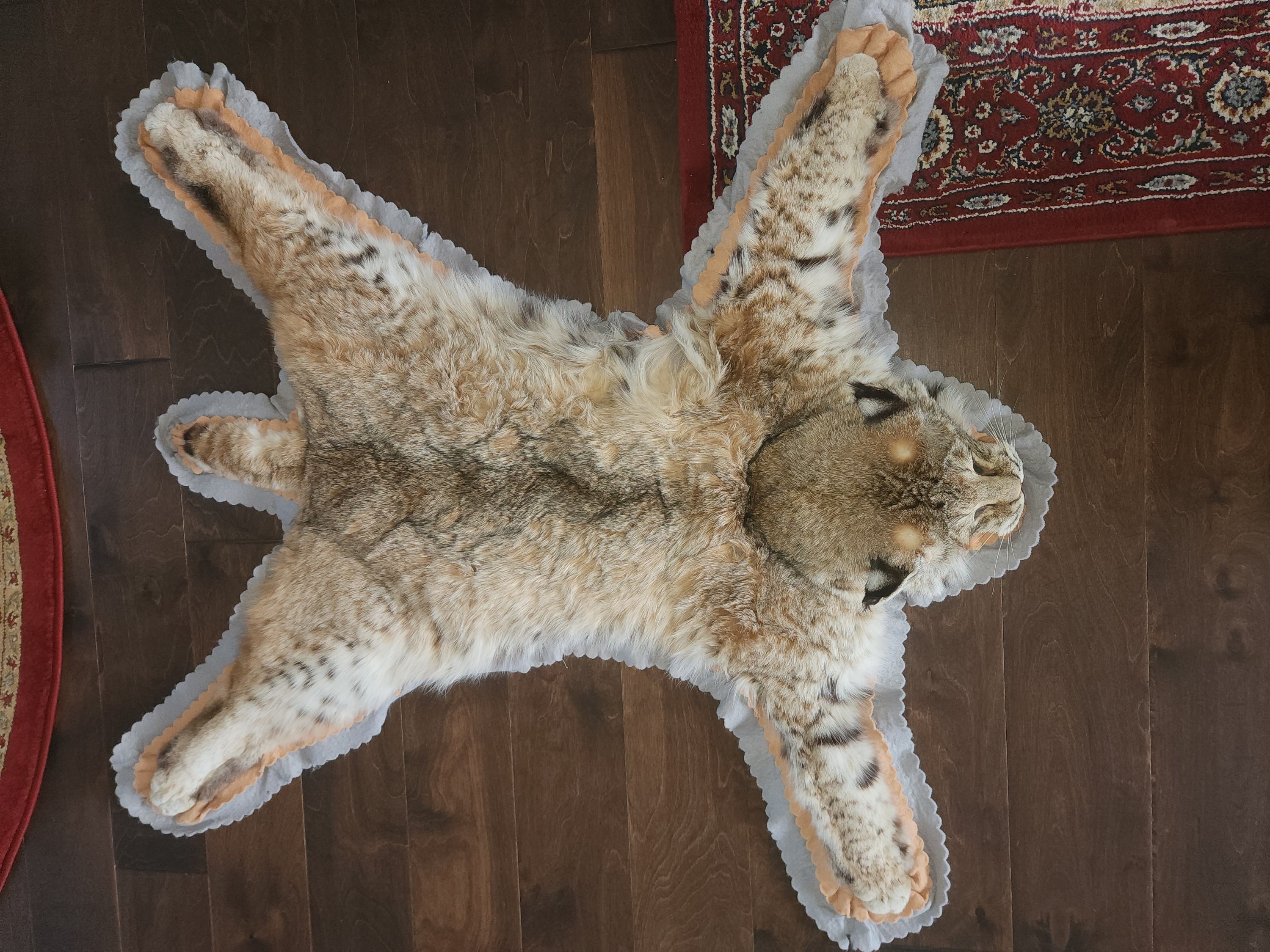Bobcat Rug - Etsy