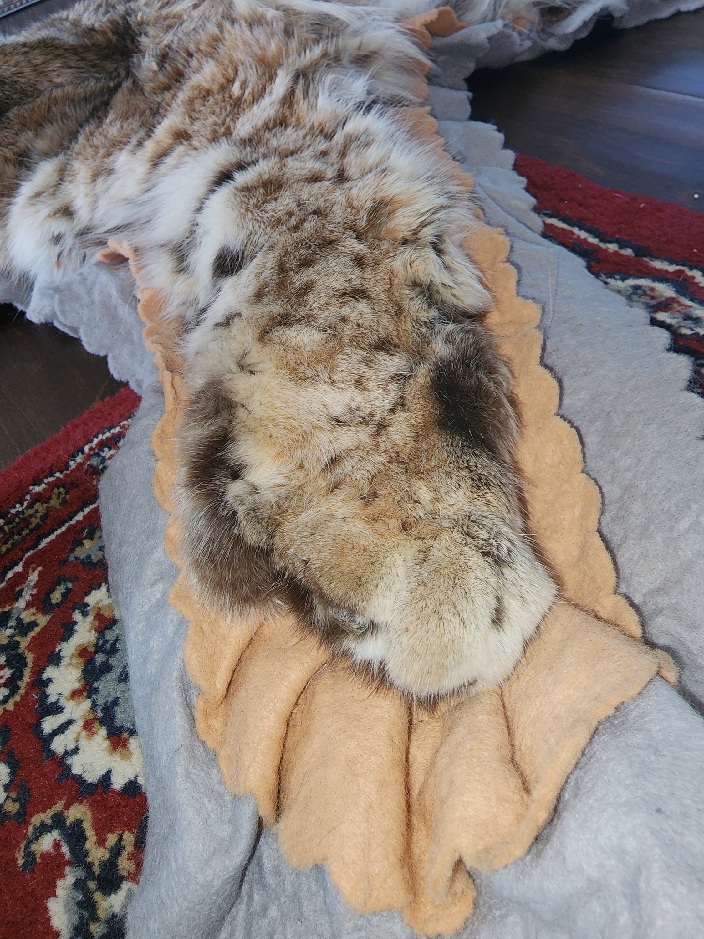 Bobcat Rug - Etsy