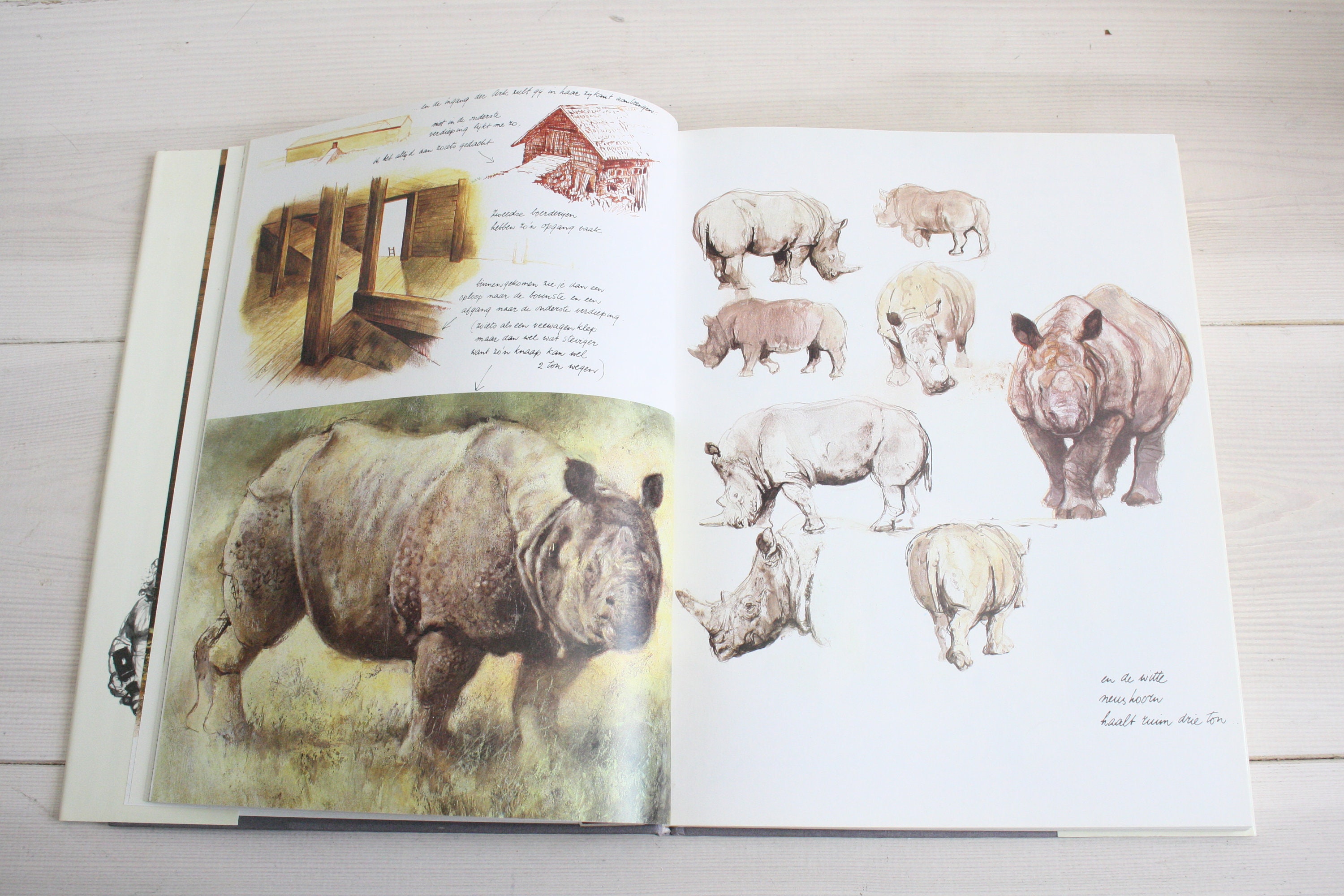 Book De Ark Van Noach Noah's Ark by Rien Poortvliet - Etsy Australia