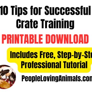 Crate Training a Puppy Checklist Includes Free Puppy Crate Training ...