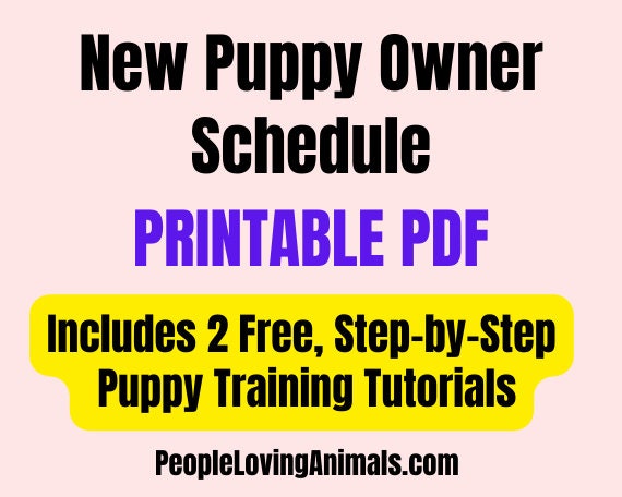 New Puppy Owner Schedule New Puppy Training Schedule Puppy Schedule ...