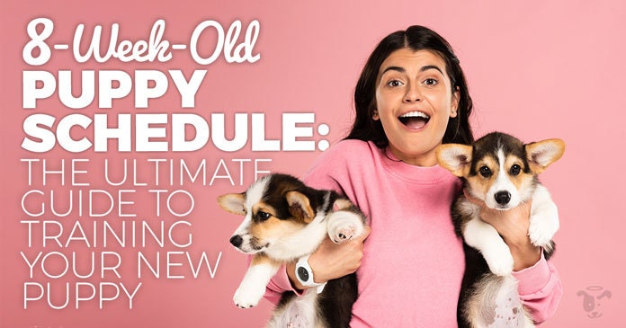 New Puppy Owner Schedule New Puppy Training Schedule Puppy Schedule ...