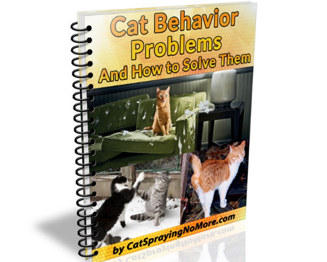 Cat Behavior Problems and How to Solve Them Cat Training How to Train a ...