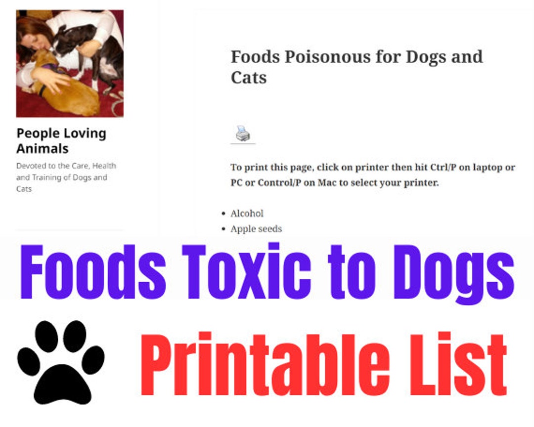 Foods Toxic to Dogs Foods Poisonous for Dogs Foods Bad for Dogs - Etsy