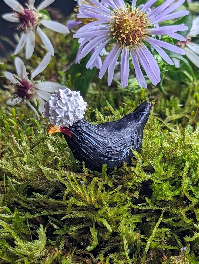 Polish Chicken, Miniature, Chickens , Figurines, Fairy Gardens ...