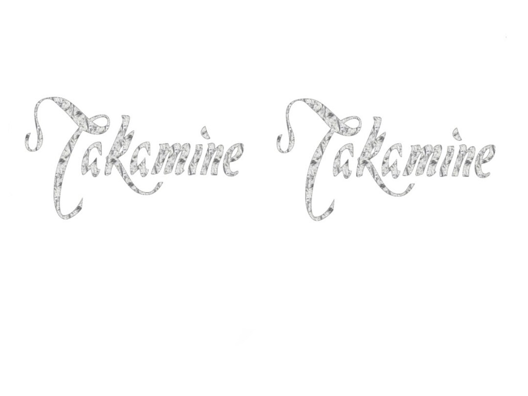 Takamine Custom Guitar Decal Headstock Restoration Waterslide - Etsy