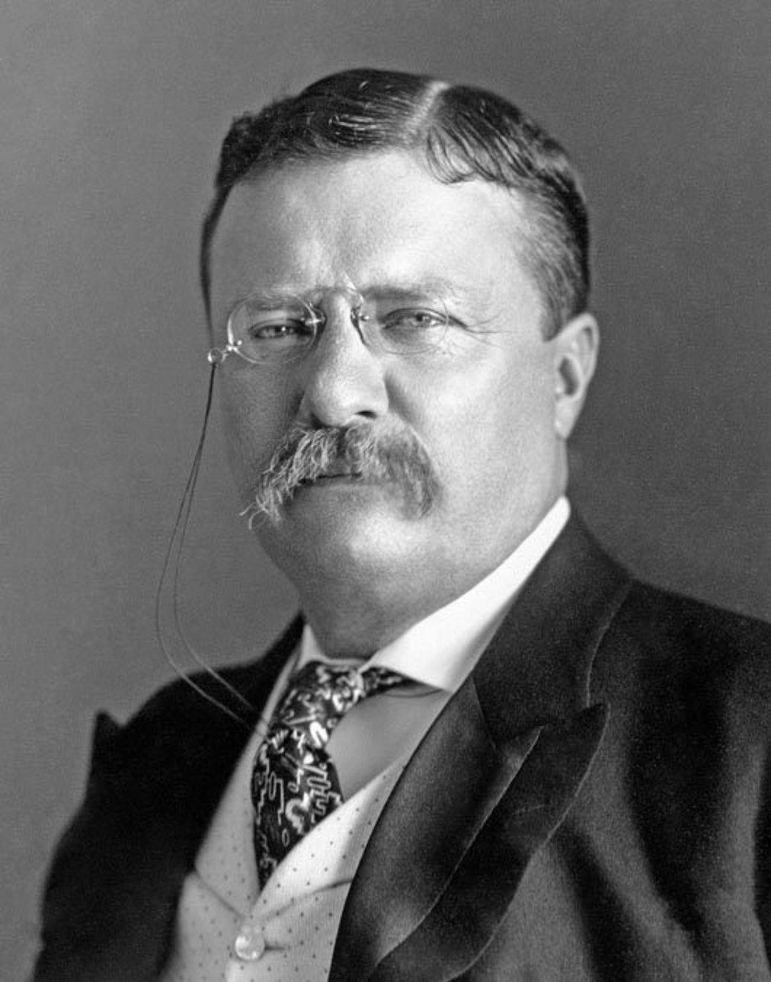26th President THEODORE TEDDY ROOSEVELT Glossy 8x10 or 11x14 Photo ...