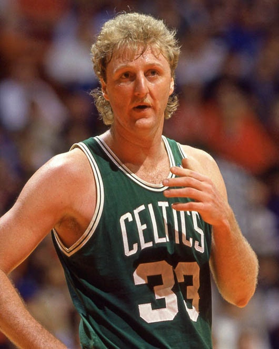 Larry Bird Glossy Photo Print: Boston Celtics Legend, HOF - Etsy