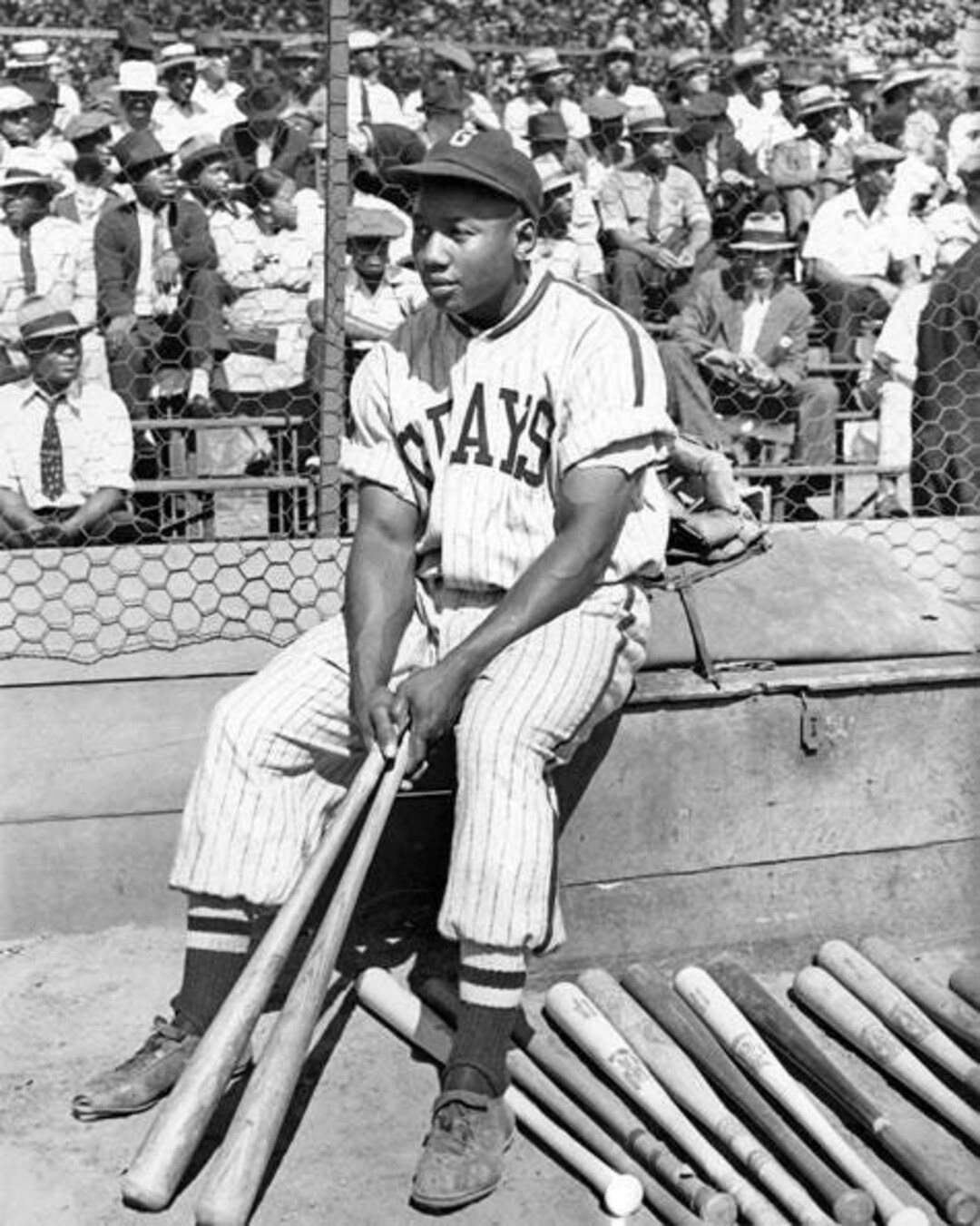 Baseball Legend JOSH GIBSON 8x10 or 11x14 Glossy Photo Homestead Grays ...