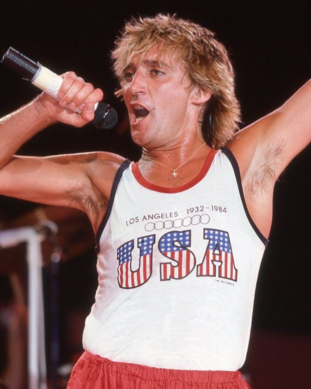 Famous Rock Singer ROD STEWART Glossy 8x10 or 11x14 Photo Blues Music ...