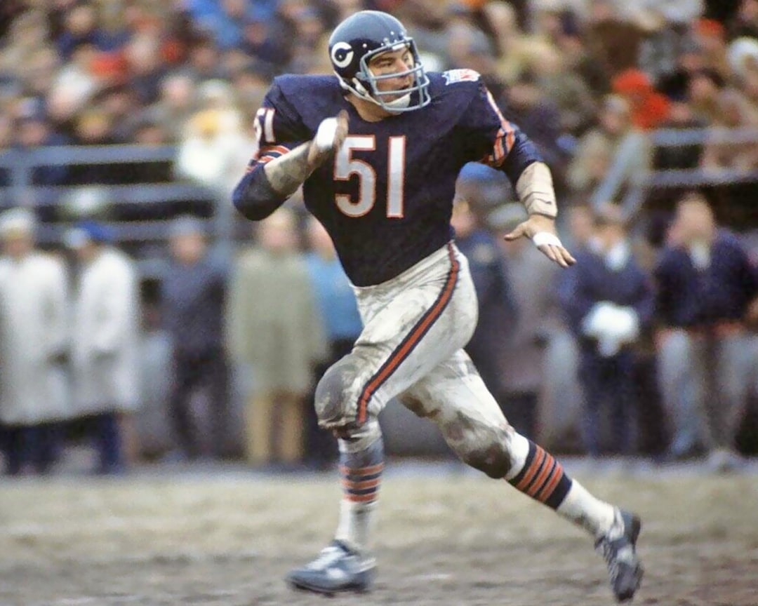 1969 Chicago Bears DICK BUTKUS Glossy 8x10 or 11x14 Photo Print ...