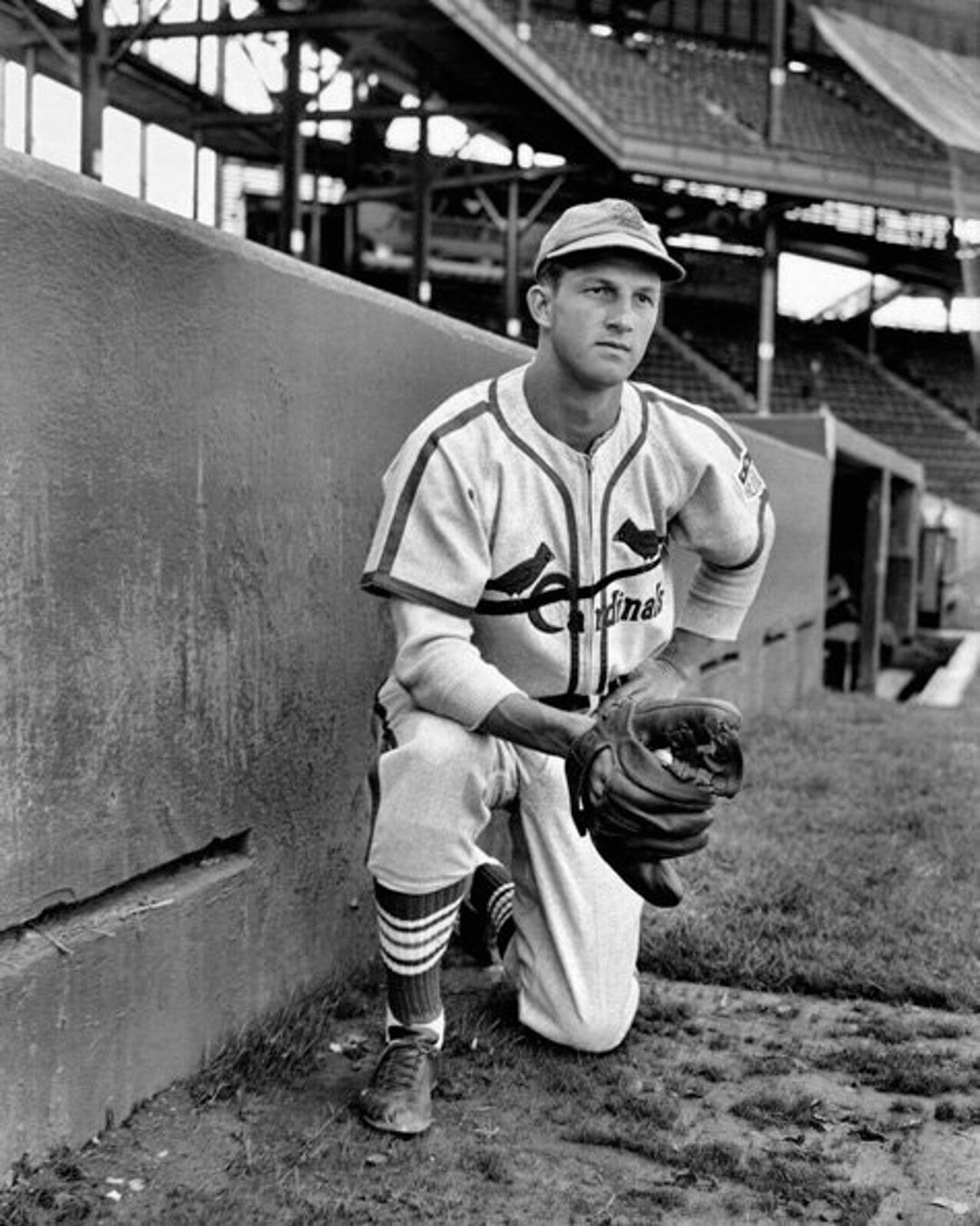 Baseball Legend STAN MUSIAL Glossy 8x10 or 11x14 Photo St. Louis ...