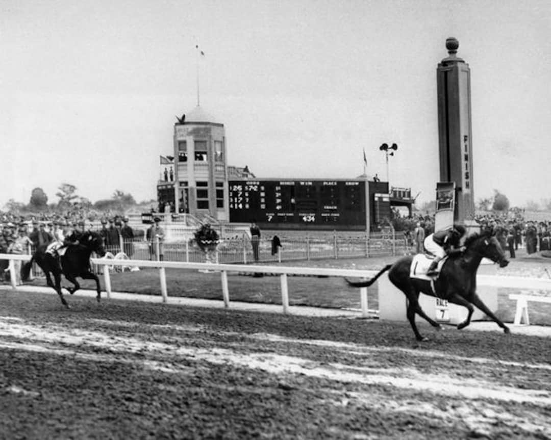 Champion Race Horse CITATION Glossy 8x10 or 11x14 Photo 1948 Kentucky ...