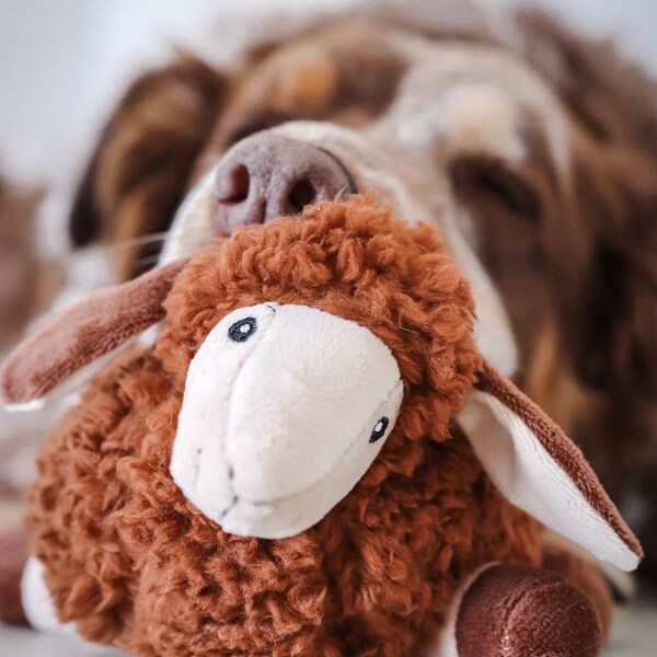 Sheep Dog - Etsy