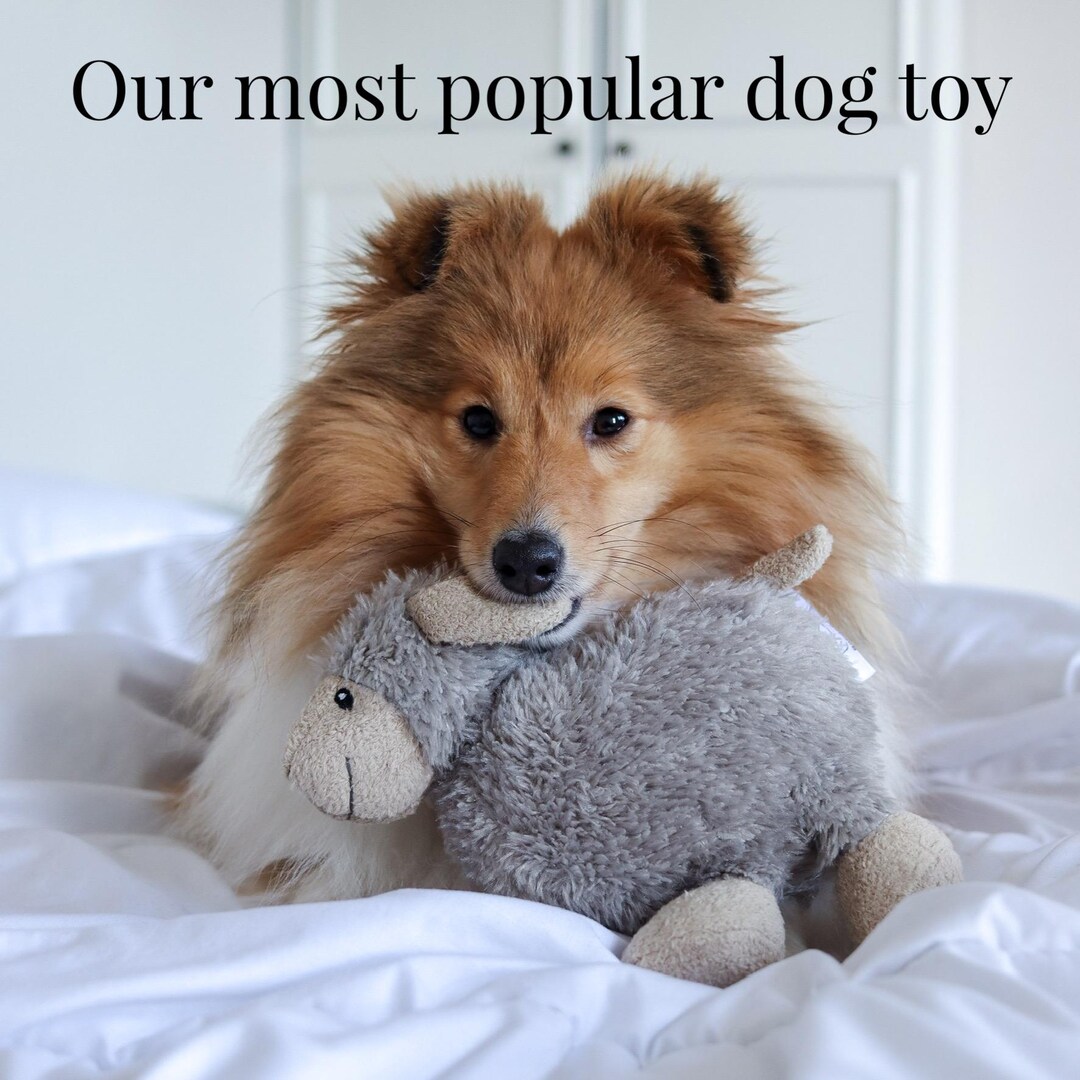 LUCA DOG TOY | Plush, Squeaky, Soft and Characterful Lamb Dog Toy Gift ...