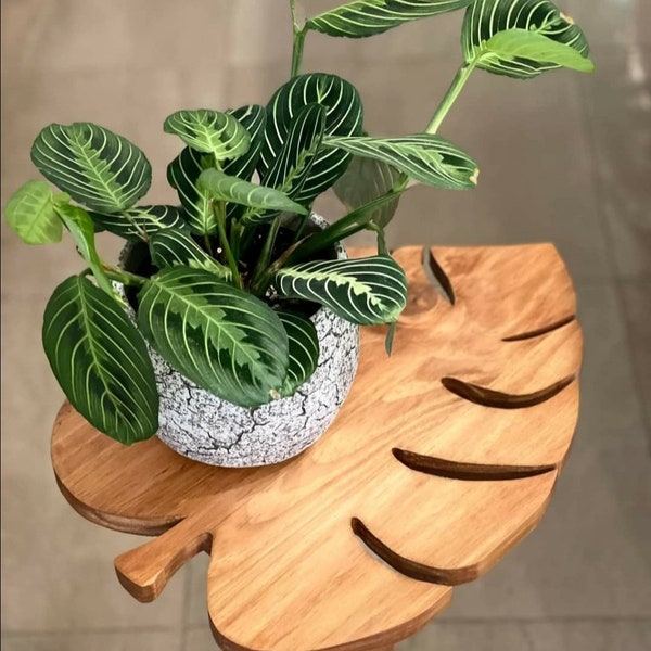 Monstera Plant Stand - Etsy