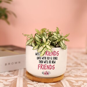 Best Friend Plant Pot Mini Planter Flower Pot Holder We Will Be Friends ...
