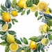 Lemon Frame, 10 High Quality Jpgs, Digital Planner, Digital Download ...