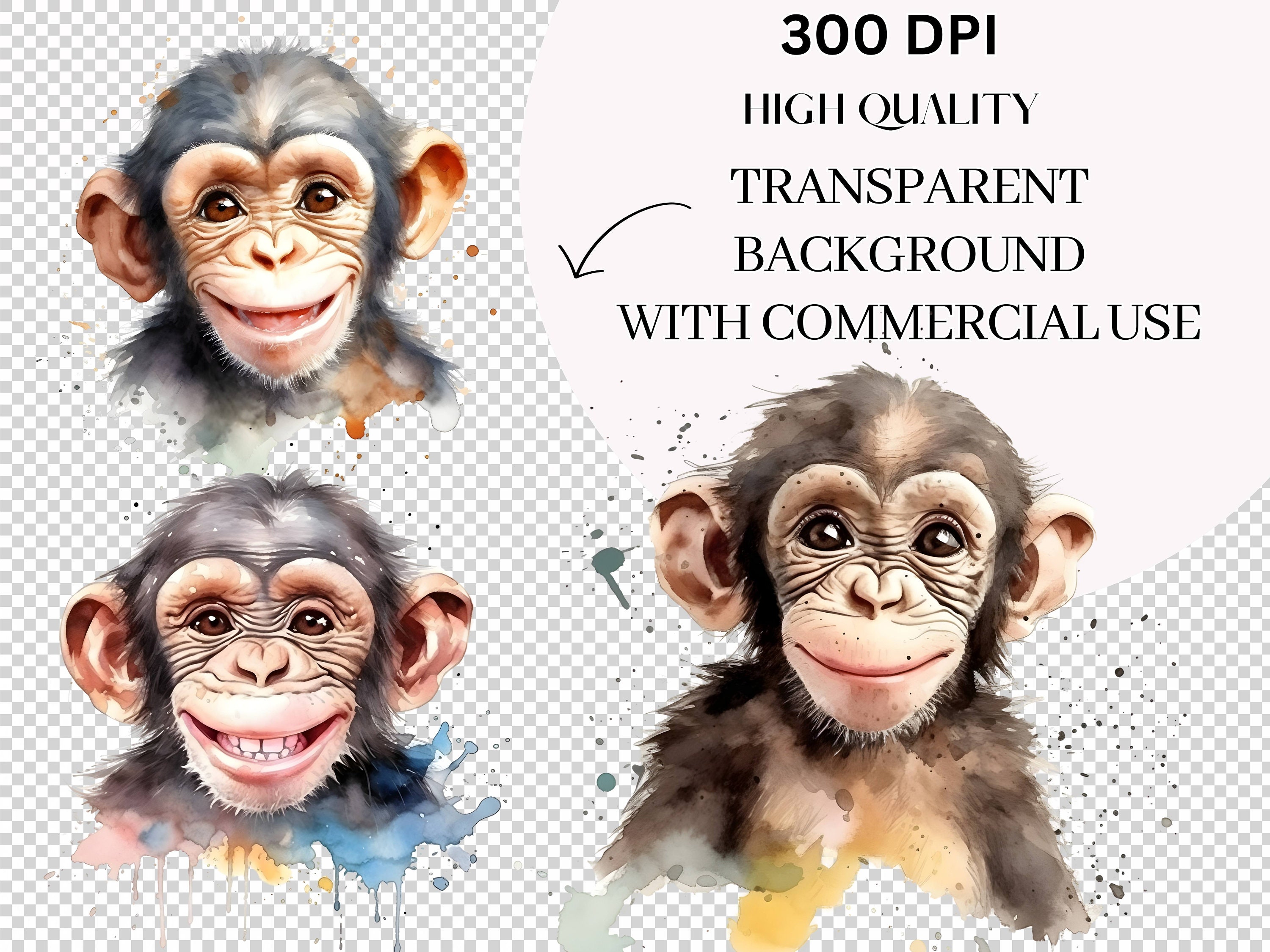 Watercolor Chimp PNG, Clipart 10 High Quality, Clipart Chimp PNG ...