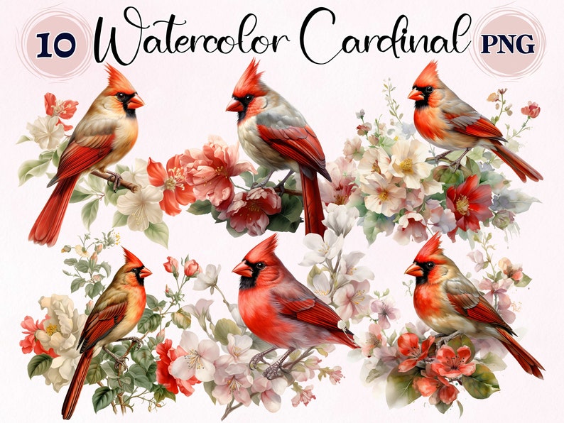 Watercolor Cardinal Bird, 10 High Quality Pngs, Clipart Pack Cardinal ...
