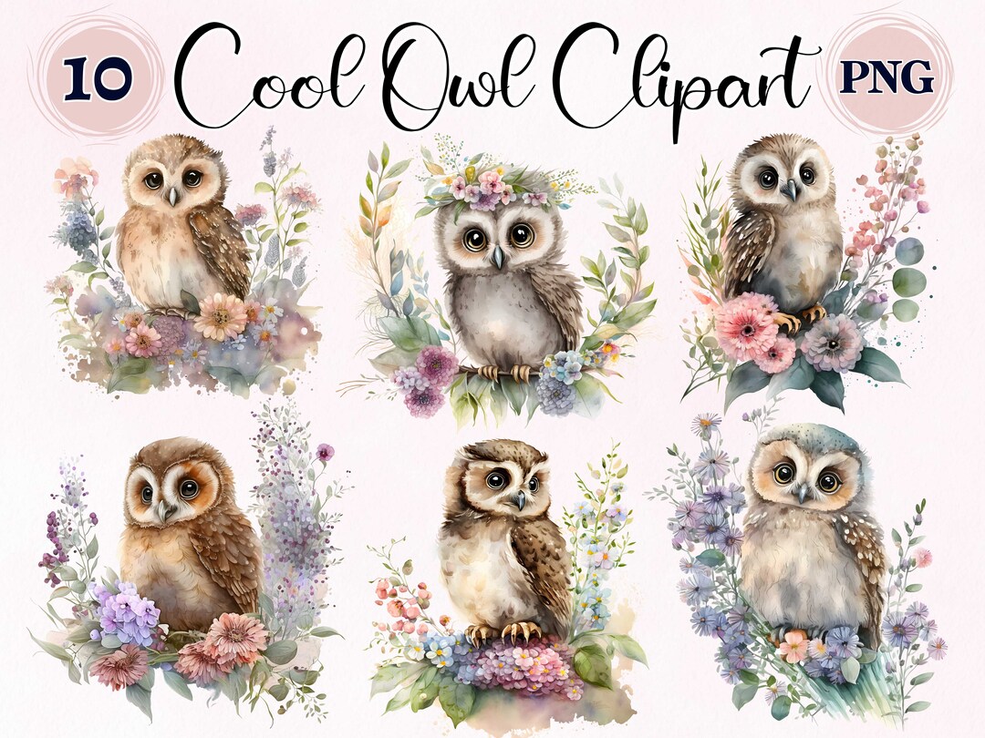 Watercolor Owl With Flowers, 10 High Quality Pngs, Digital Download ...