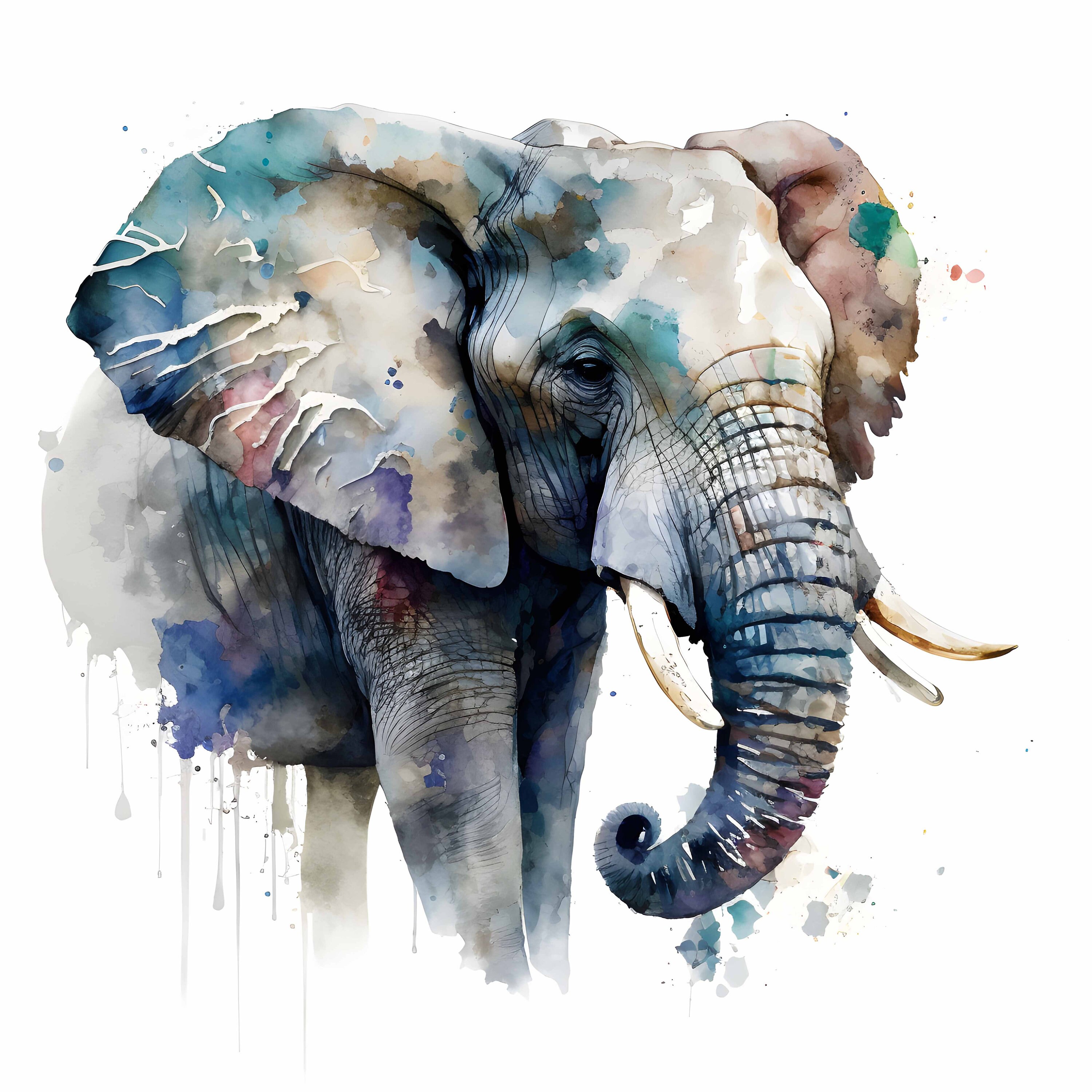 Elephant Clipart, 11 High Quality Images, Digital Download, Clipart ...