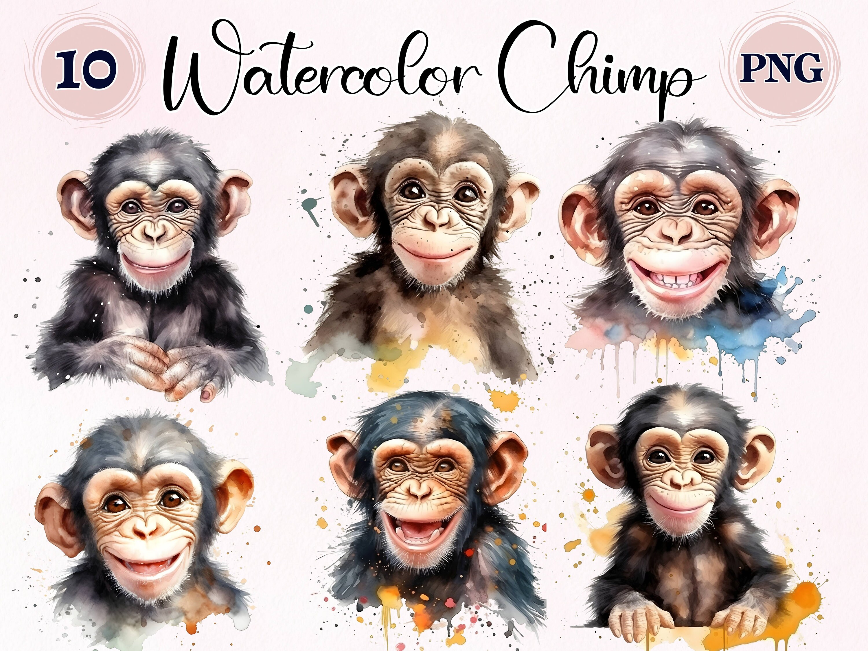 Watercolor Chimp PNG, Clipart 10 High Quality, Clipart Chimp PNG ...