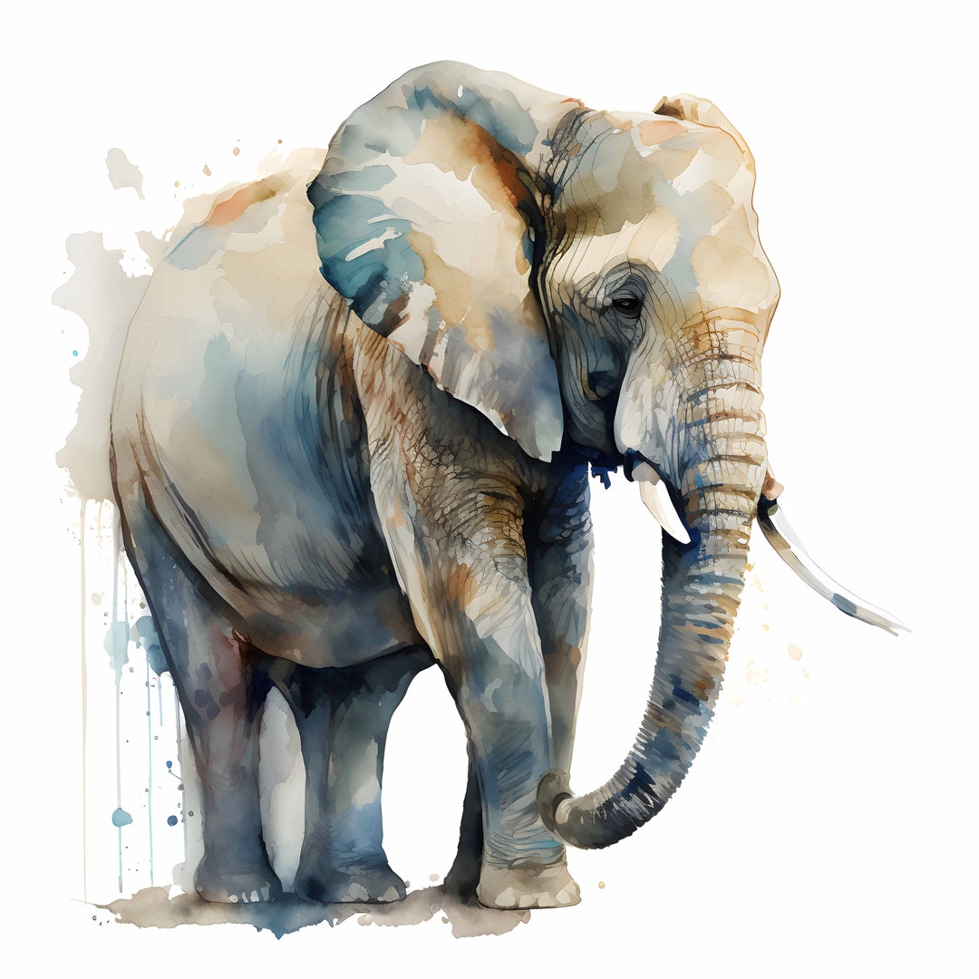 Elephant Clipart, 11 High Quality Images, Digital Download, Clipart ...