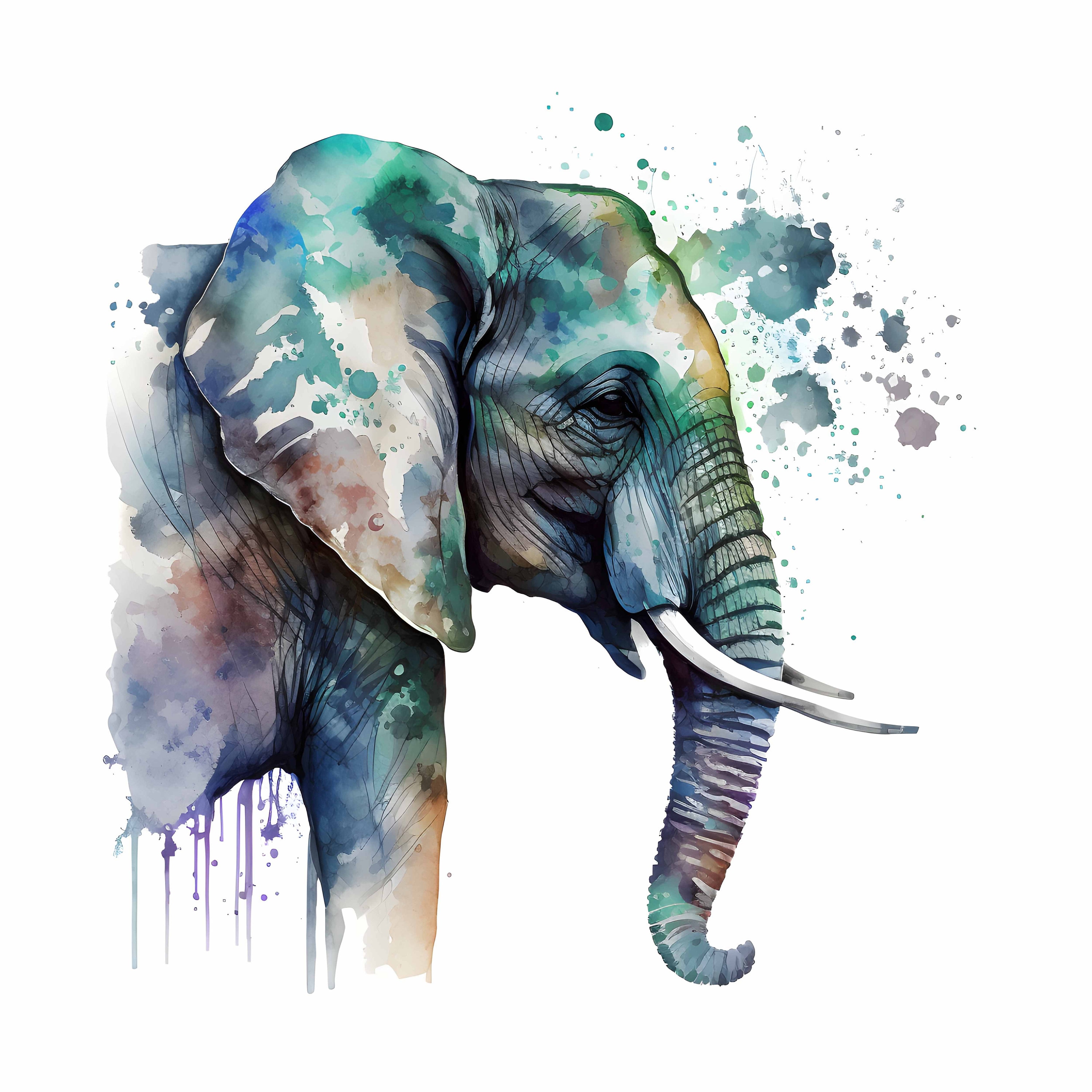 Elephant Clipart, 11 High Quality Images, Digital Download, Clipart ...