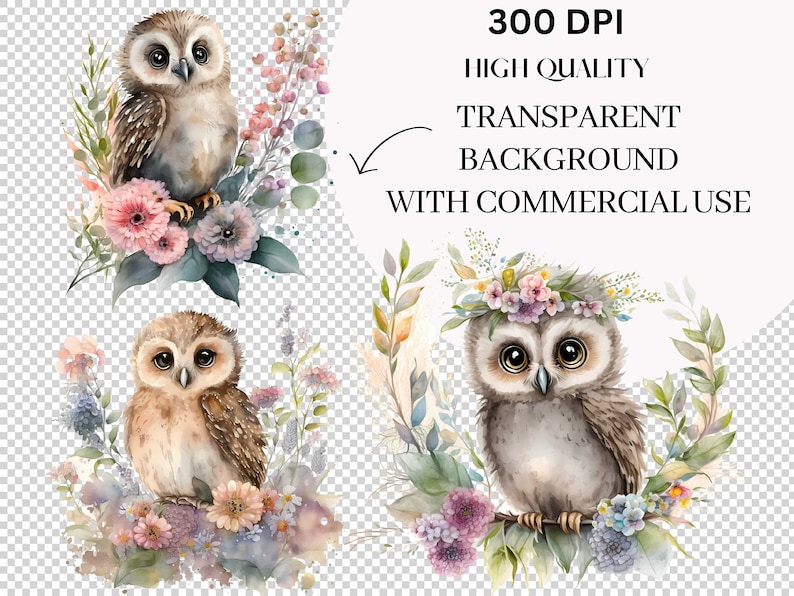 Watercolor Owl With Flowers, 10 High Quality Pngs, Digital Download ...