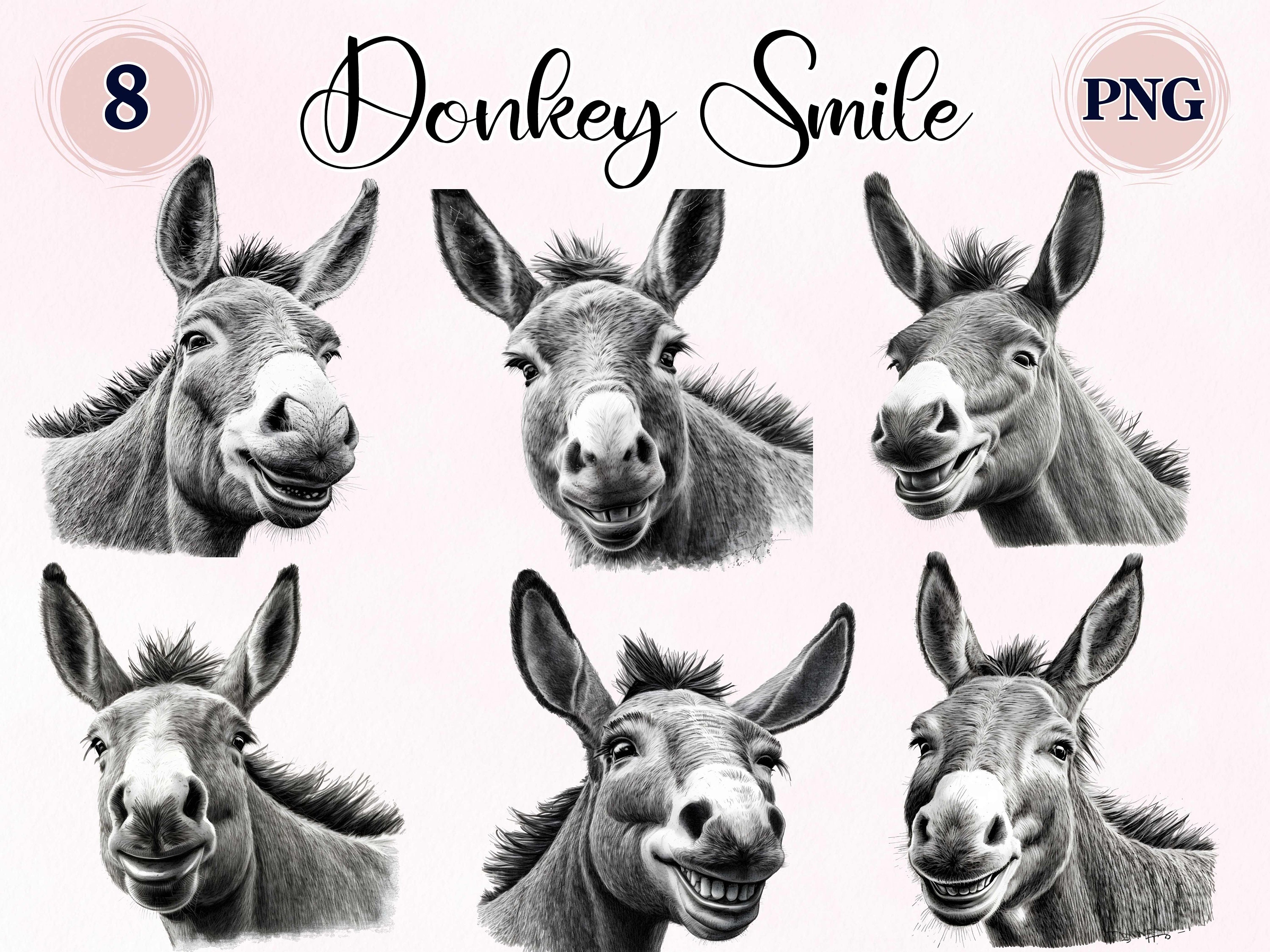 Smiling Donkey Clipart