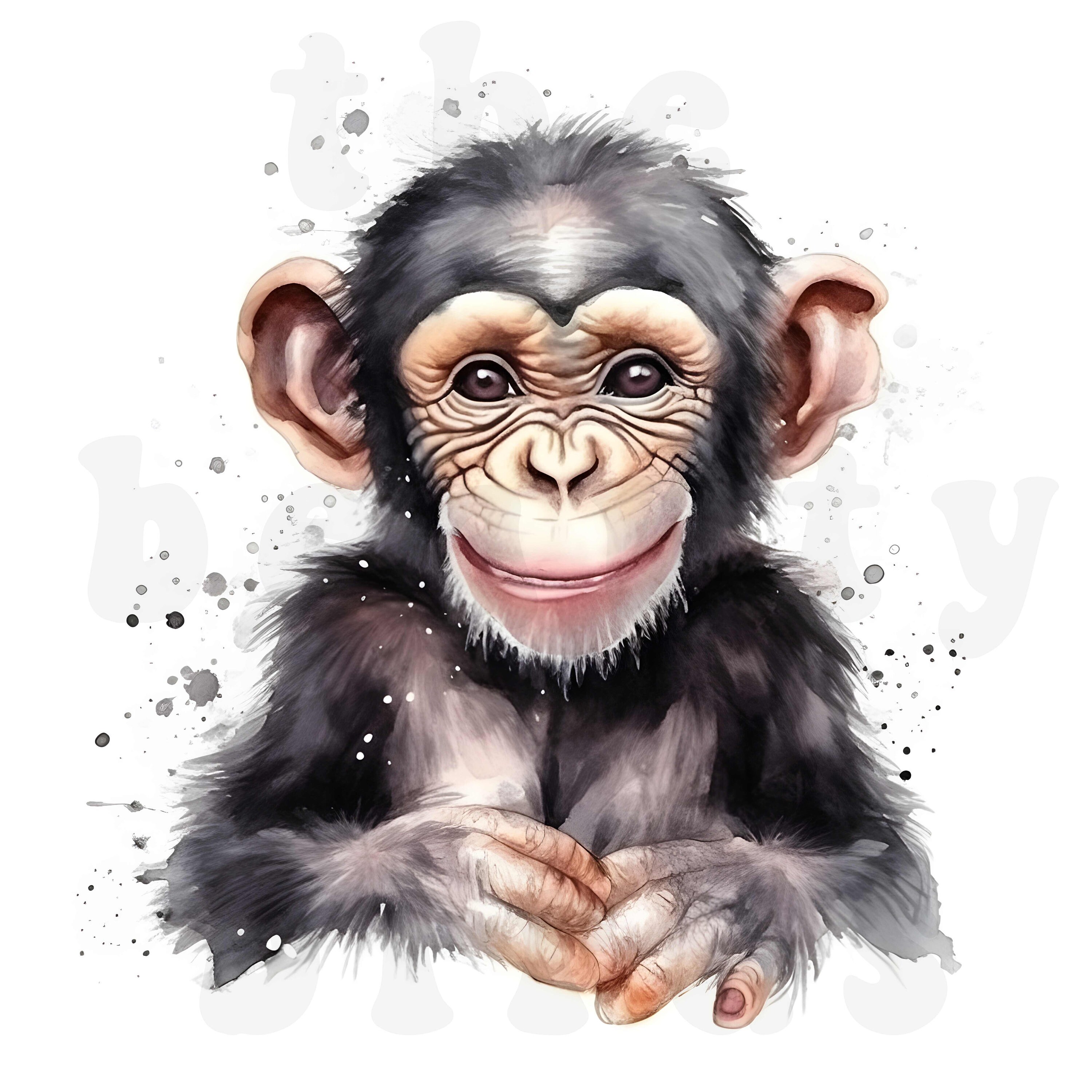 Watercolor Chimp PNG, Clipart 10 High Quality, Clipart Chimp PNG ...