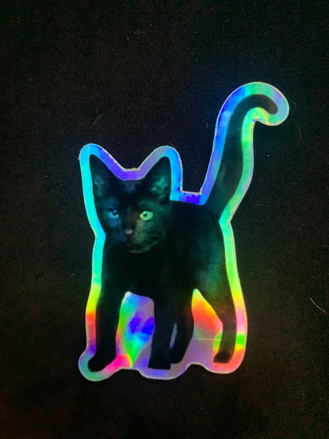 Dorky Black Cat Holographic Sticker - Etsy