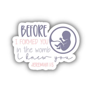 Christian Pro Life Sticker, Baby Sticker for Laptop, Notebook, Journal ...