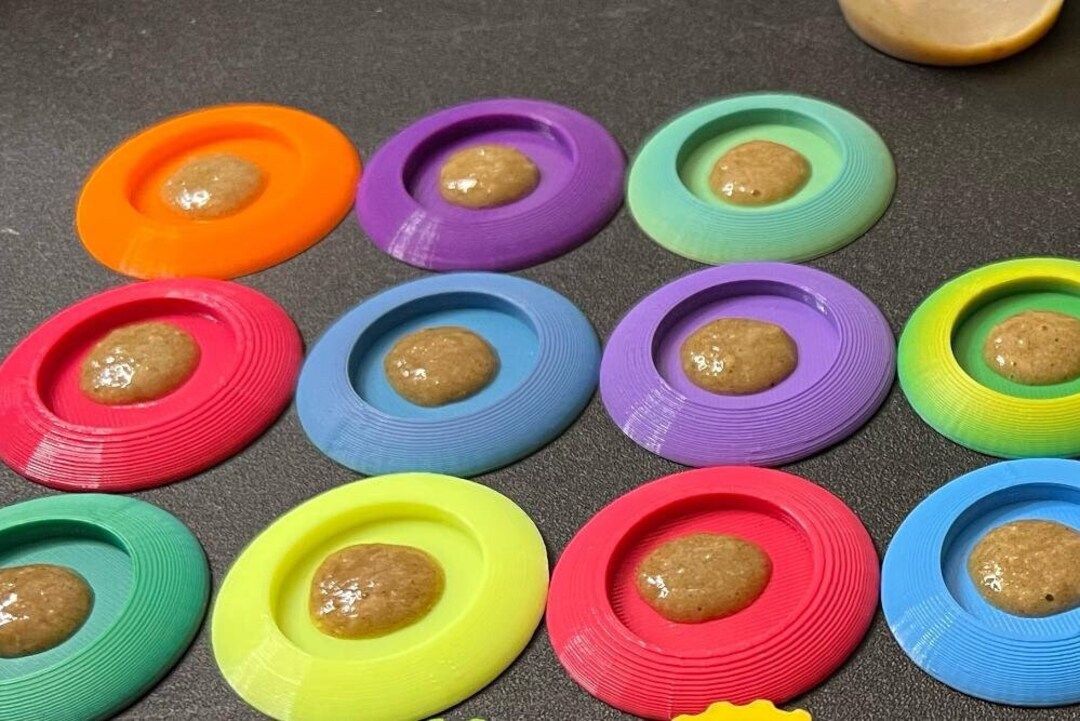 10 Count Hatchling Bowls/ Gecko Dishes/ Crested Gecko Feeding/ Baby ...