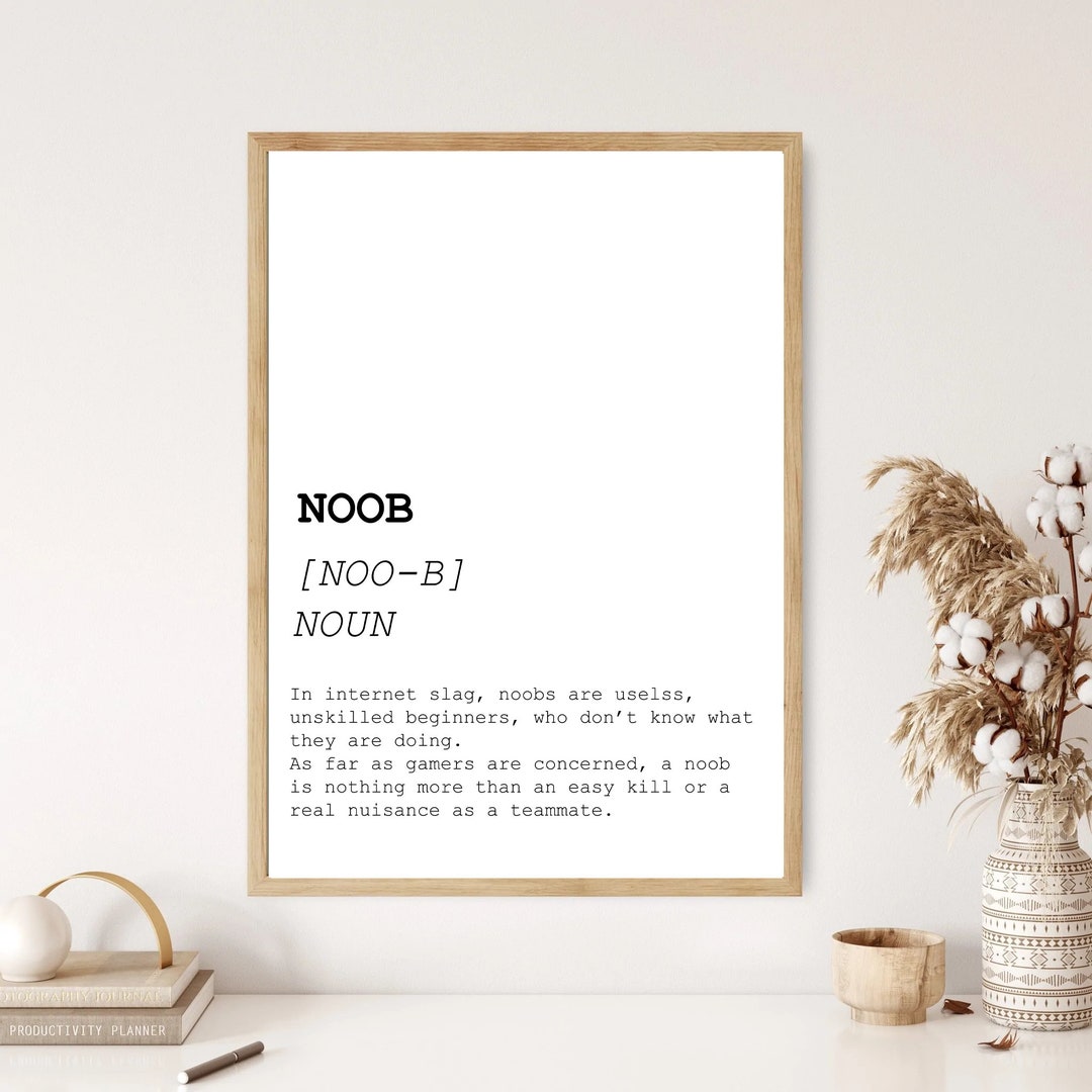 Noob Definition Print, Quote, Unframed A5/A4/A3 Gift for Gamer Lovers ...