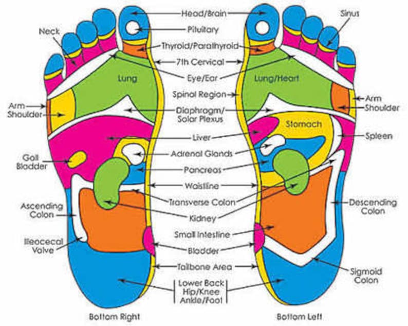 Feet Reflexology: Acupressure Online Consultation, MS Teams Online ...