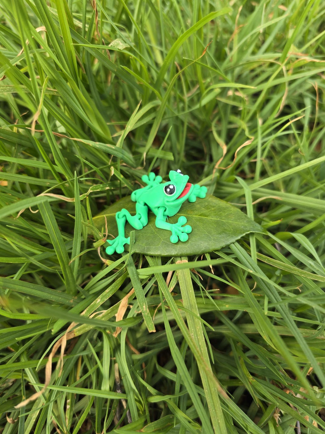 Articulating Flexi-frog |desk Fidget Toy | 3D Printed Flexi Toy| Desk ...