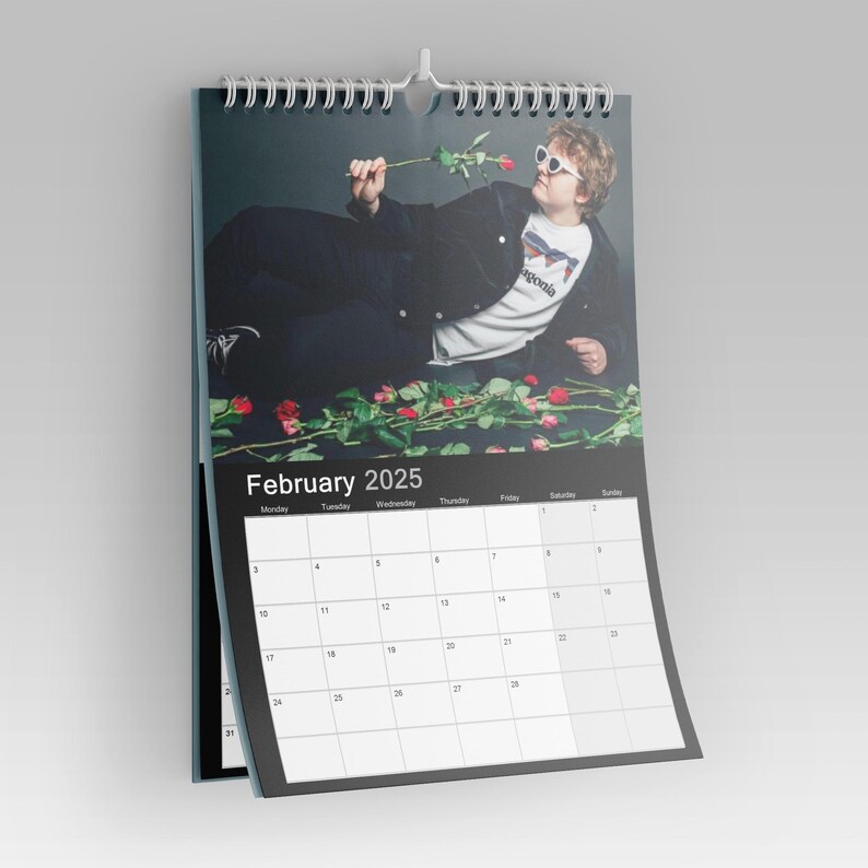 Lewis Capaldi Calendar A4 Wall Calendar Planner 2026, Celebrity Wall ...