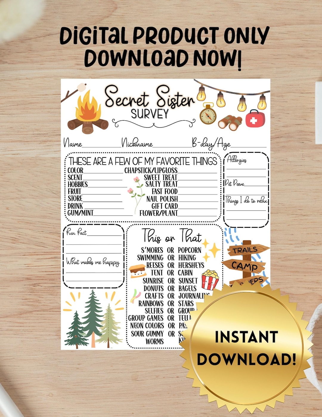 Secret Sister Survey: Girls Camp Questionnaire (PDF Download) - Etsy