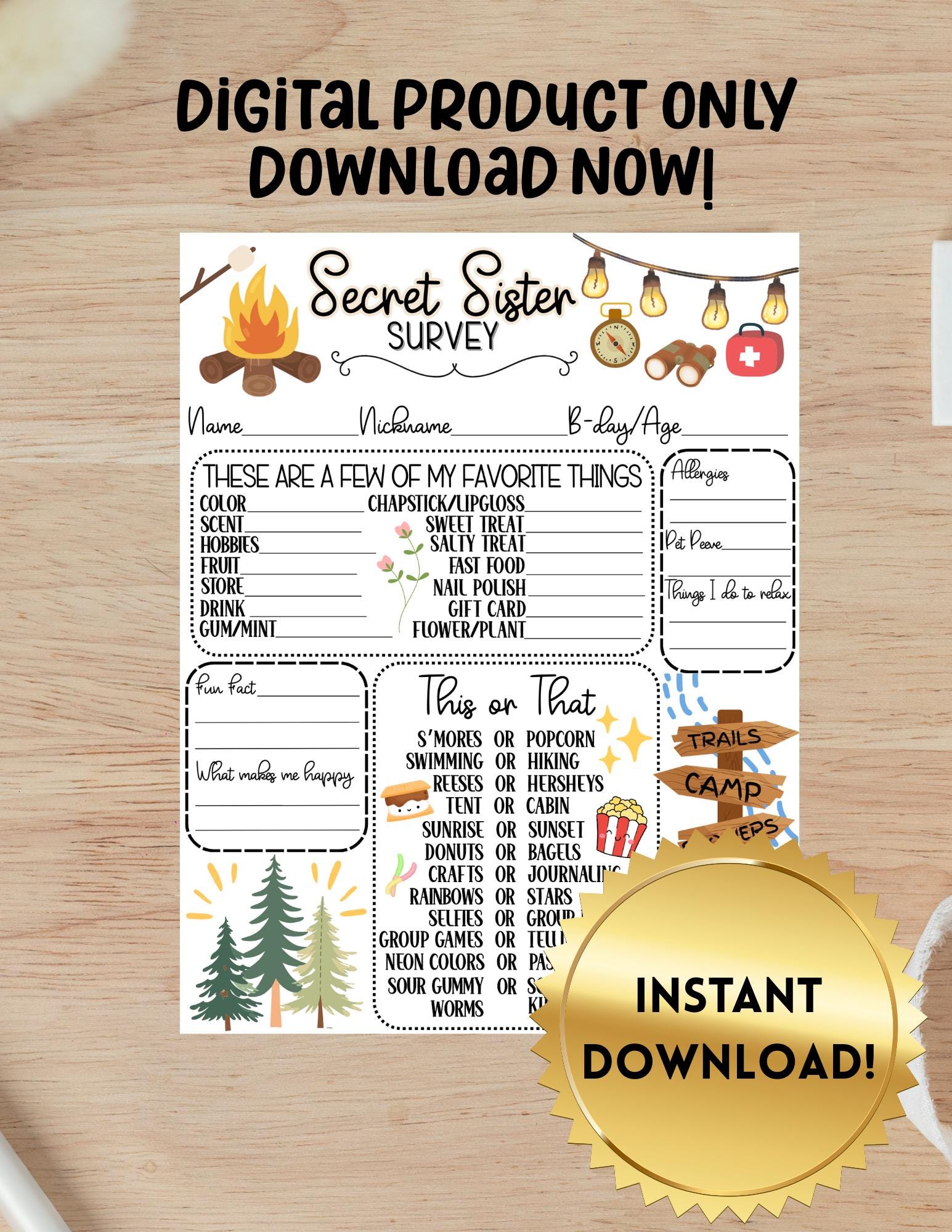 Secret Sister Survey: Girls Camp Questionnaire (PDF Download) - Etsy