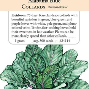 Collards, Organic, Heirloom, Greens, Spring, Fall, Winter, Vegetable ...